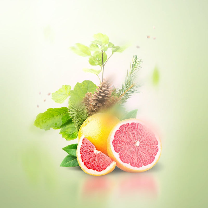 Shower Story® | Luxury Australian Shower Steamer & Shower Bomb Gifts